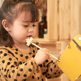 Tinkerer | STEM, STEAM Exploration