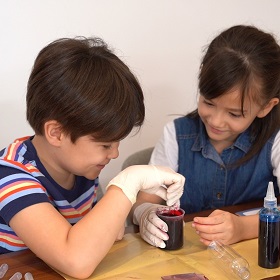 Tinkerer | STEM, STEAM Exploration