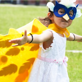 Tinkerer | STEM, STEAM Exploration